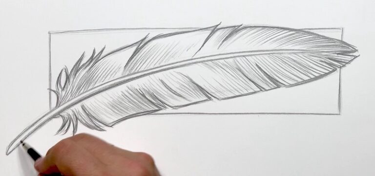 Feder zeichnen lernen - Schritt für Schritt Anleitung mit Video